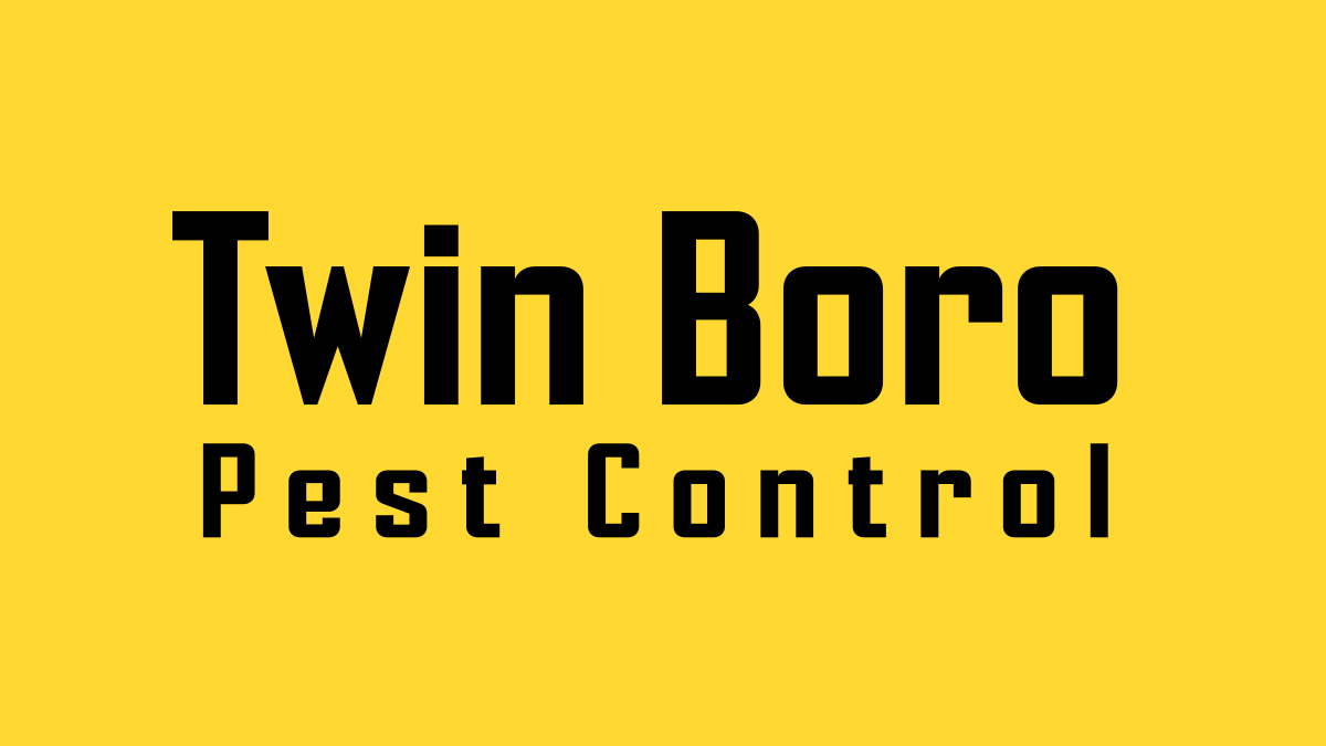 What Is a Boxelder Bug and Should You Be Concerned? | Twin Boro